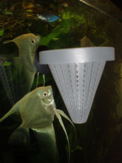 Convenient Cone Shaped Worm Feeder - Maximum Aquarium Supplies